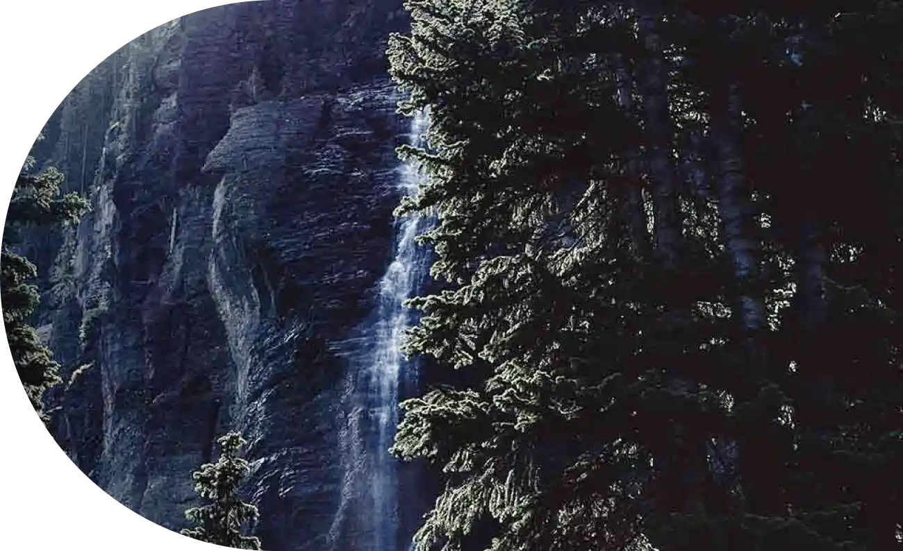 Bay Alarm Medical App for iPhone & Android